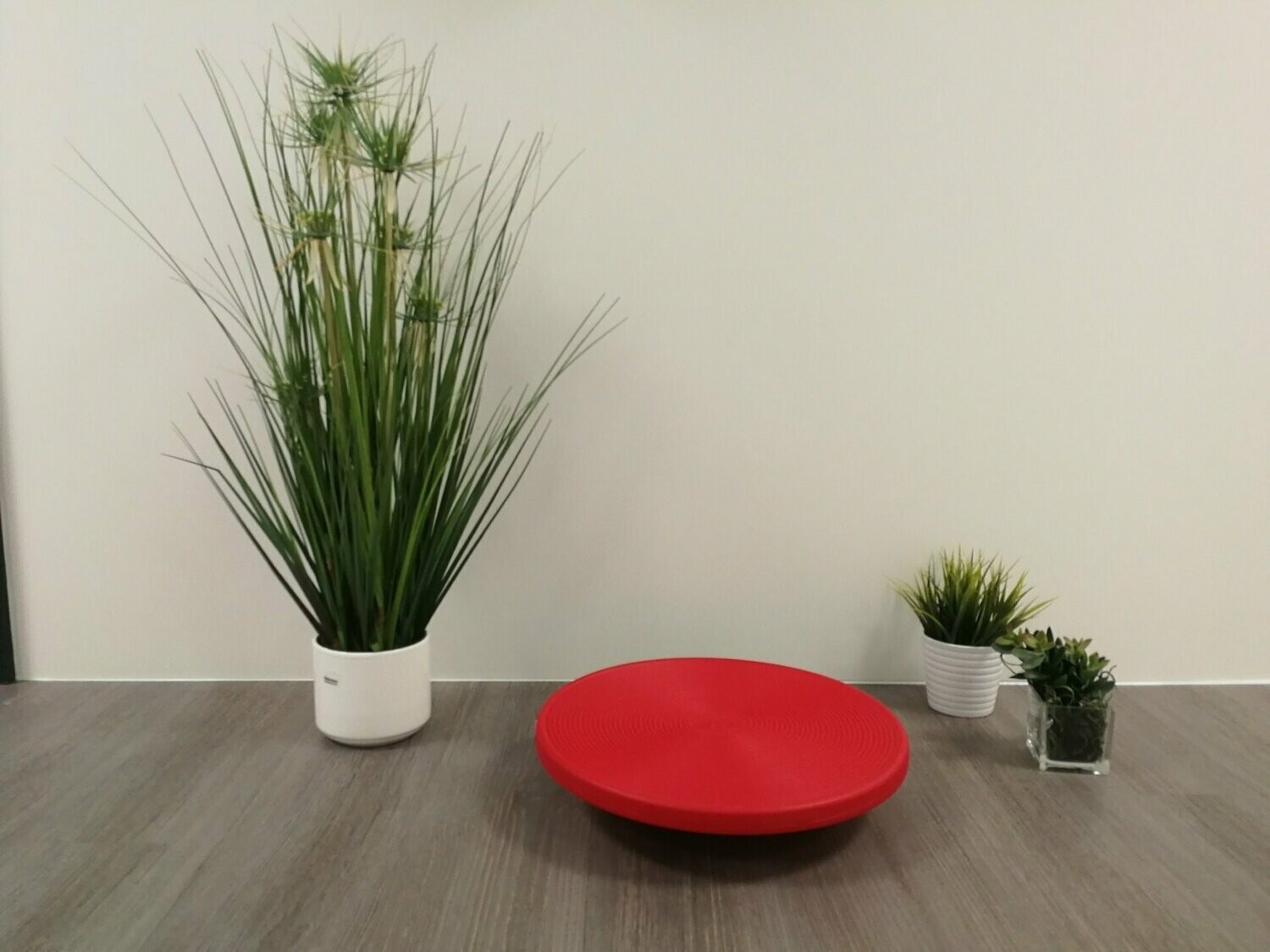 Therapiekreisel - Training für Gleichgewicht und Fitness