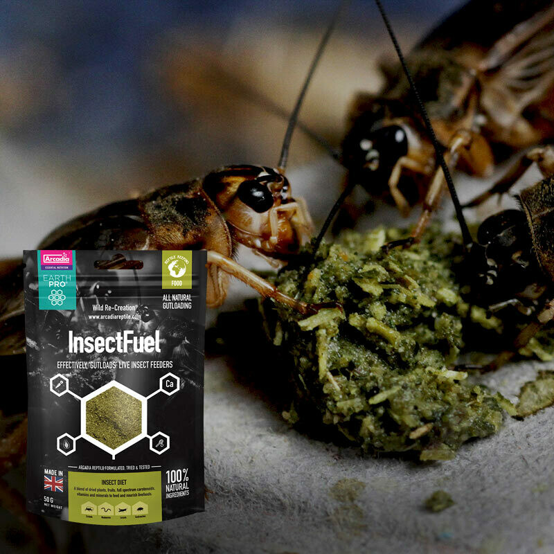 Arcadia EarthPro Insect Fuel 50G