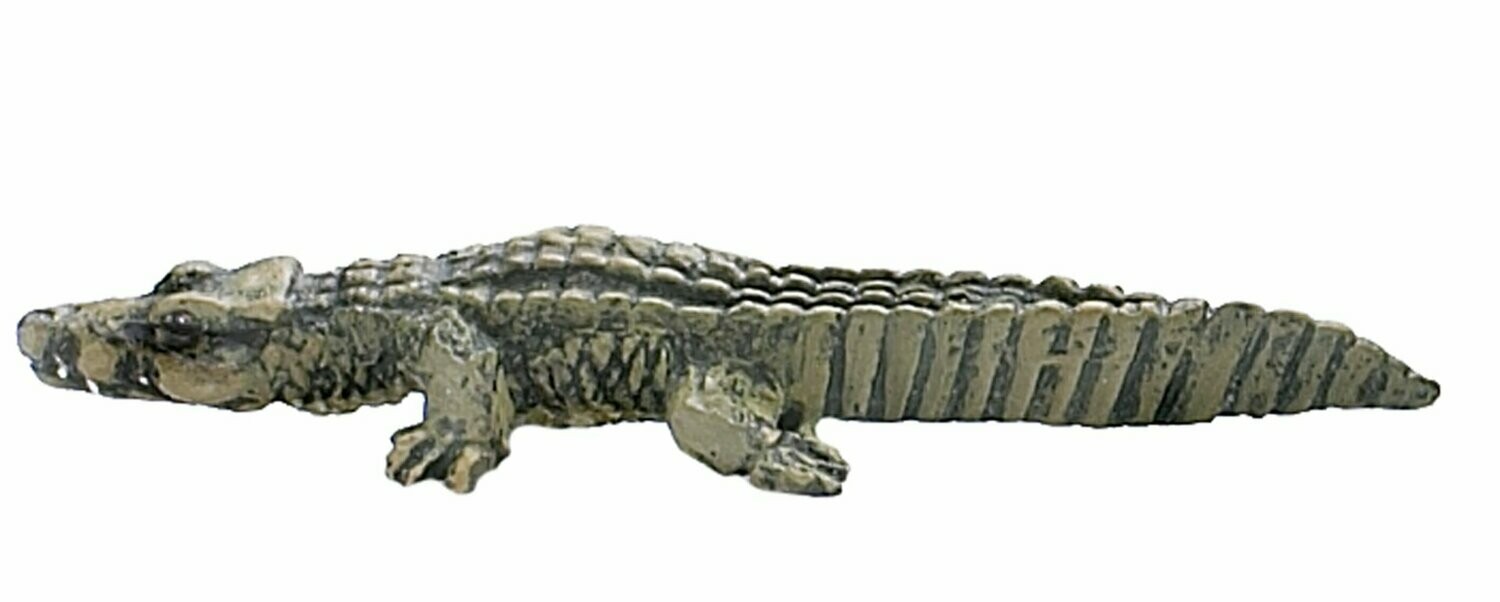 Small Crocodile