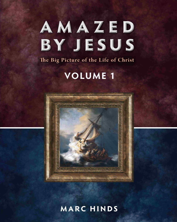 Amazed by Jesus: The Big Picture of the Life of Christ Vol 1