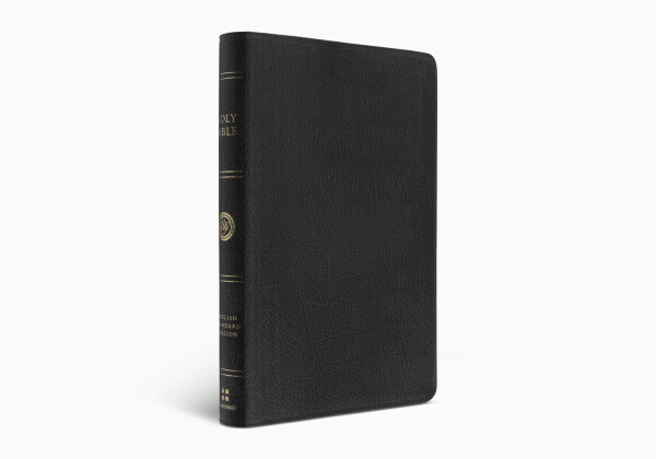 ESV Large Print Thinline Reference Bible, Genuine Leather, Black
