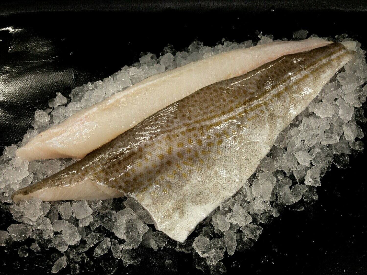 Cod Fillet