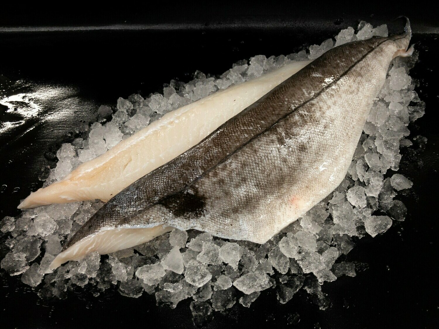 Haddock Fillet