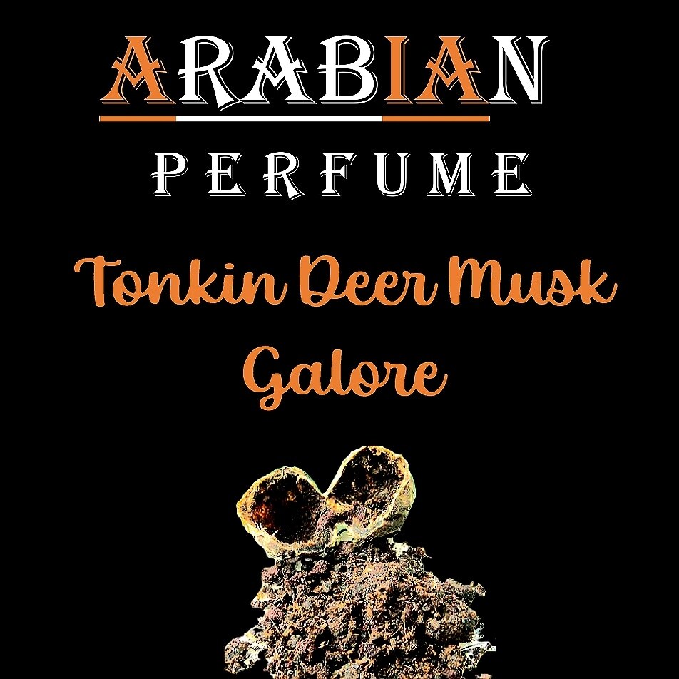 Tonkin Deer Musk Galore