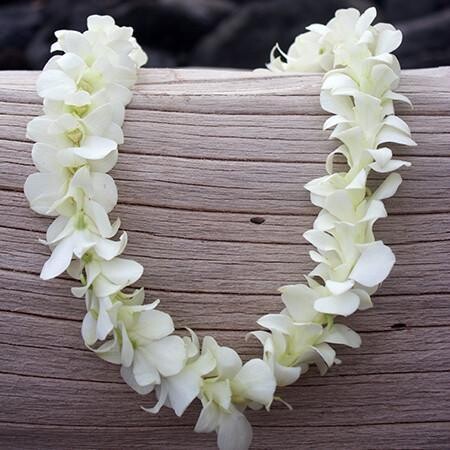 Lei White Hawaiian Orchid Flowers - Fort Worth Florist