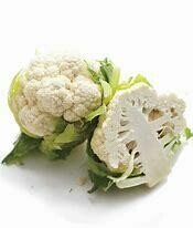 Cauliflower Seedlings