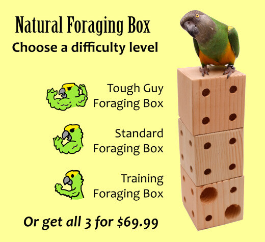 Foraging Box Trio - Includes all 3 of the Foraging Boxes (Foraging Box ...