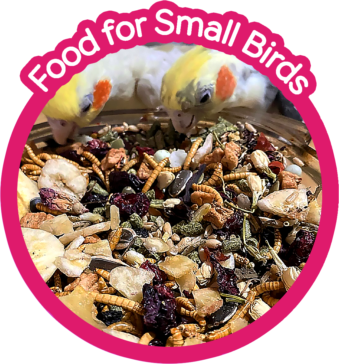 Food for Small Birds (Feeding System = Dry Blend + Fresh Recipe ...