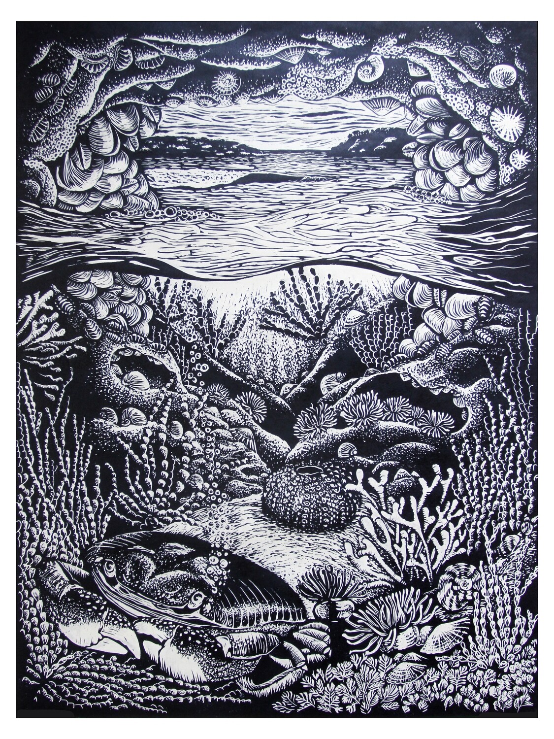 Original Limited Edition Hand Printed Lino "Rockpool"