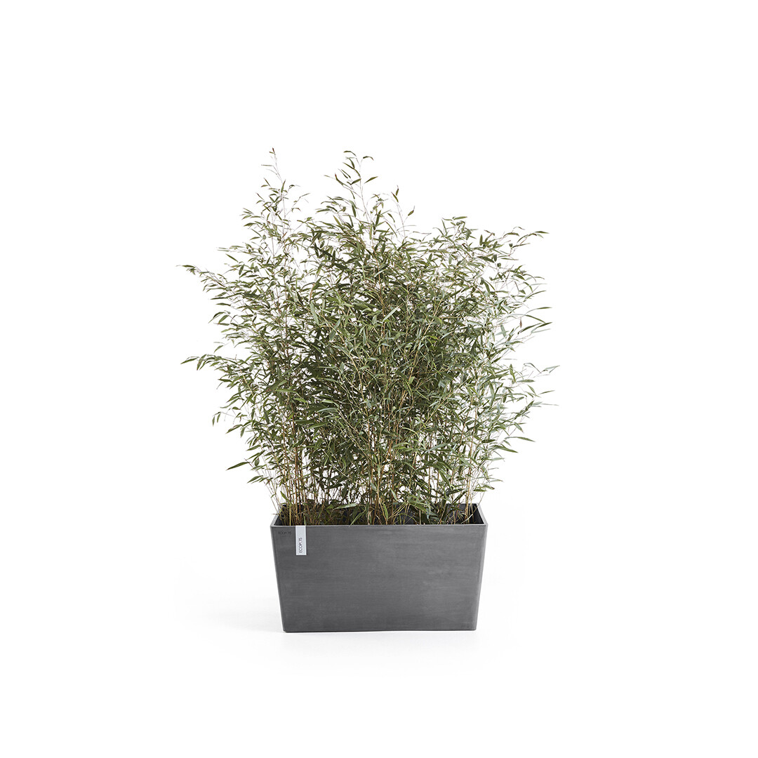 Ecopots Paris 100 Grey