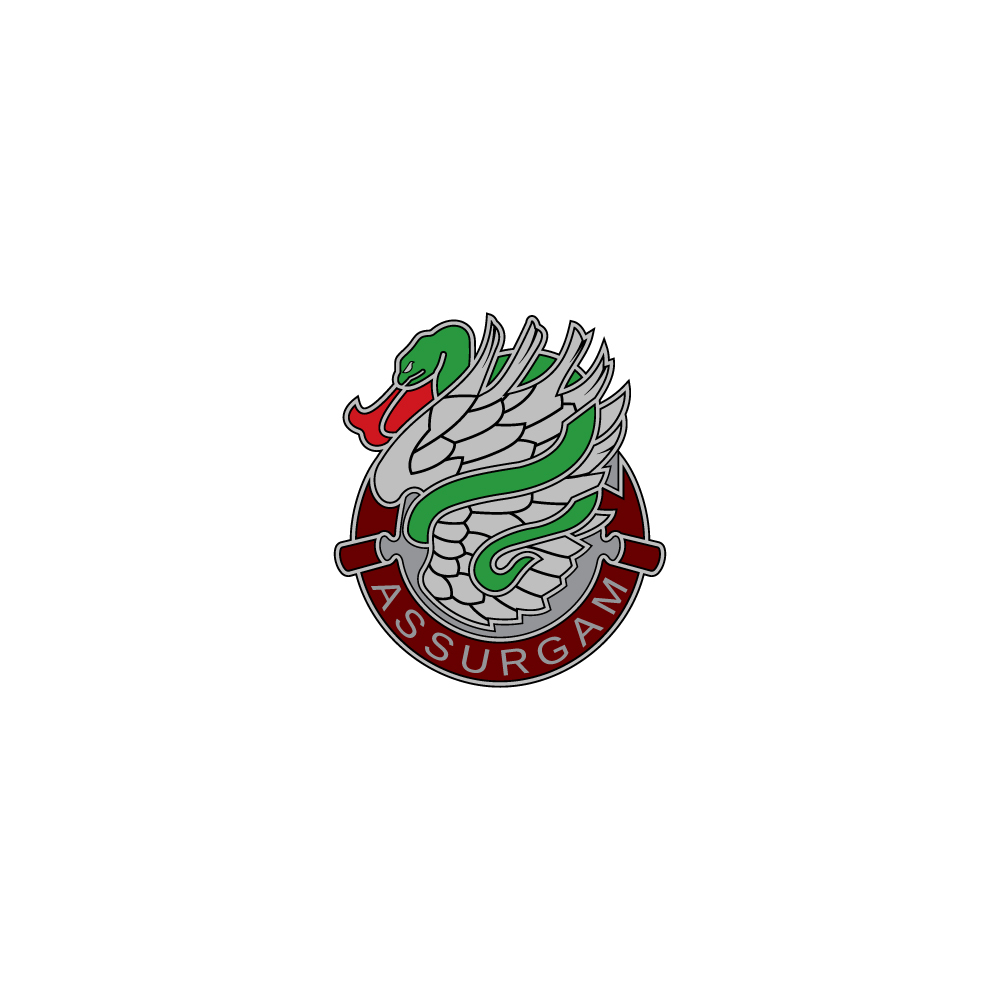 626 BSB "Assurgam Rakkasans"