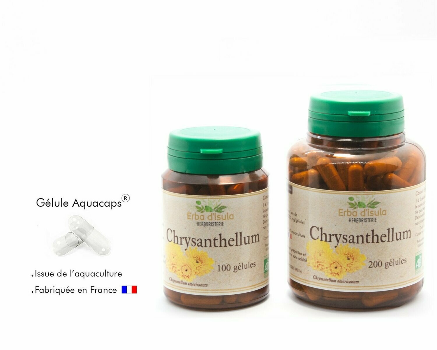 Chrysanthellum | Cholestérol | Calculs biliaires