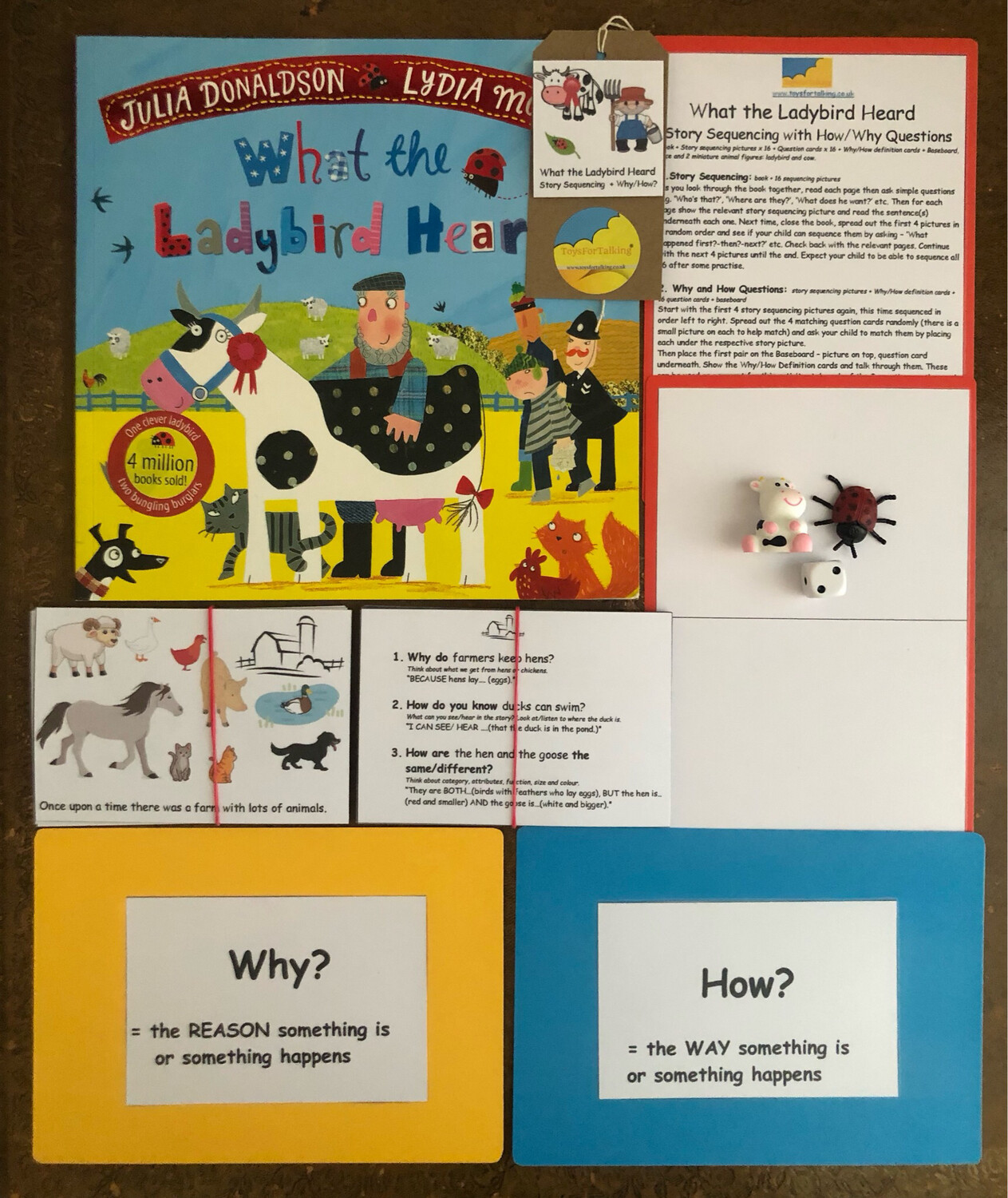 What The Ladybird Heard Story Sequencing with Why/How