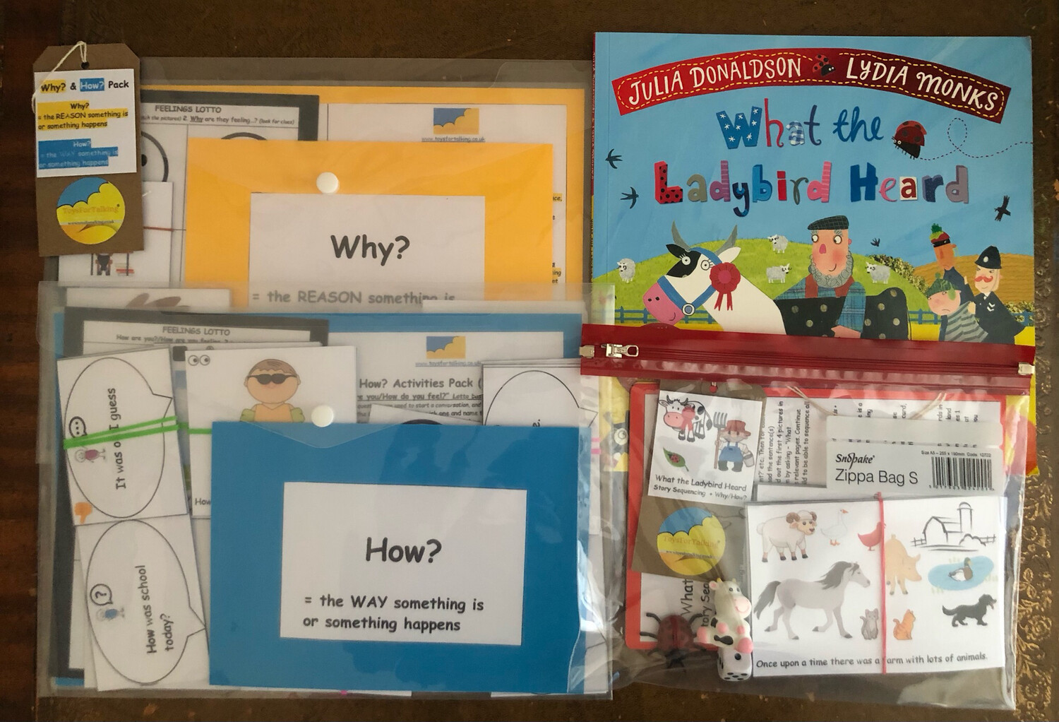 What The Ladybird Heard Story Sequencing with Why/How