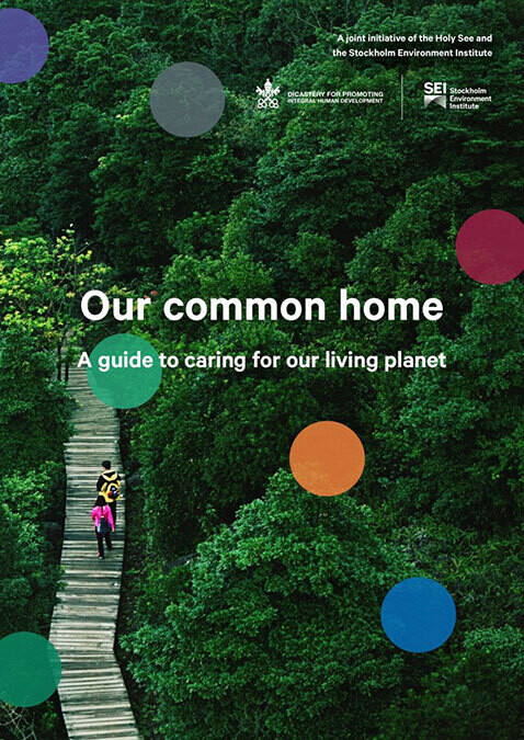 Our Common Home: A Guide to Caring for Our Living Planet (Bundle of 10)