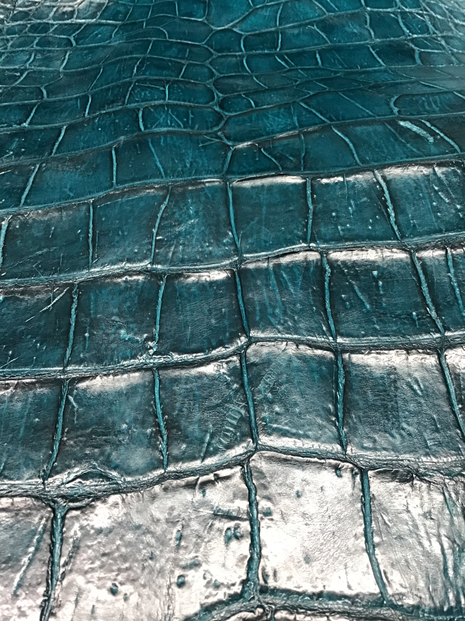 Belly Alligator Skins