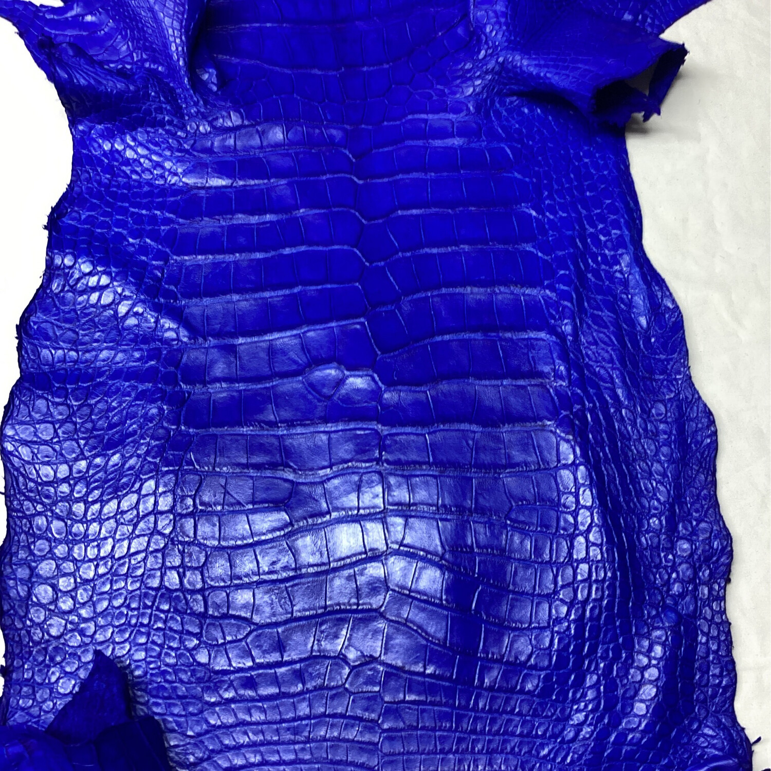 Royal Blue Belly Skin
