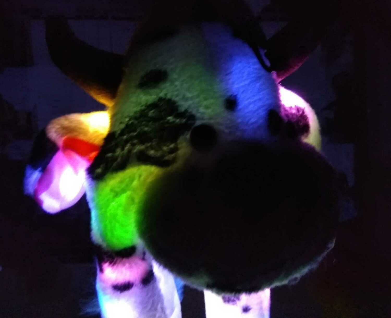 Leucht Wackel Ohren Mütze Muh Kuh weiß schwarz gefleckt LED 3 ...