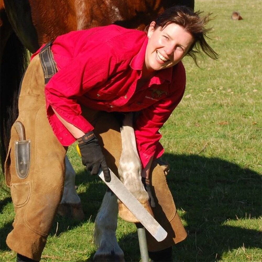 LEARN TO TRIM WORKSHOPS