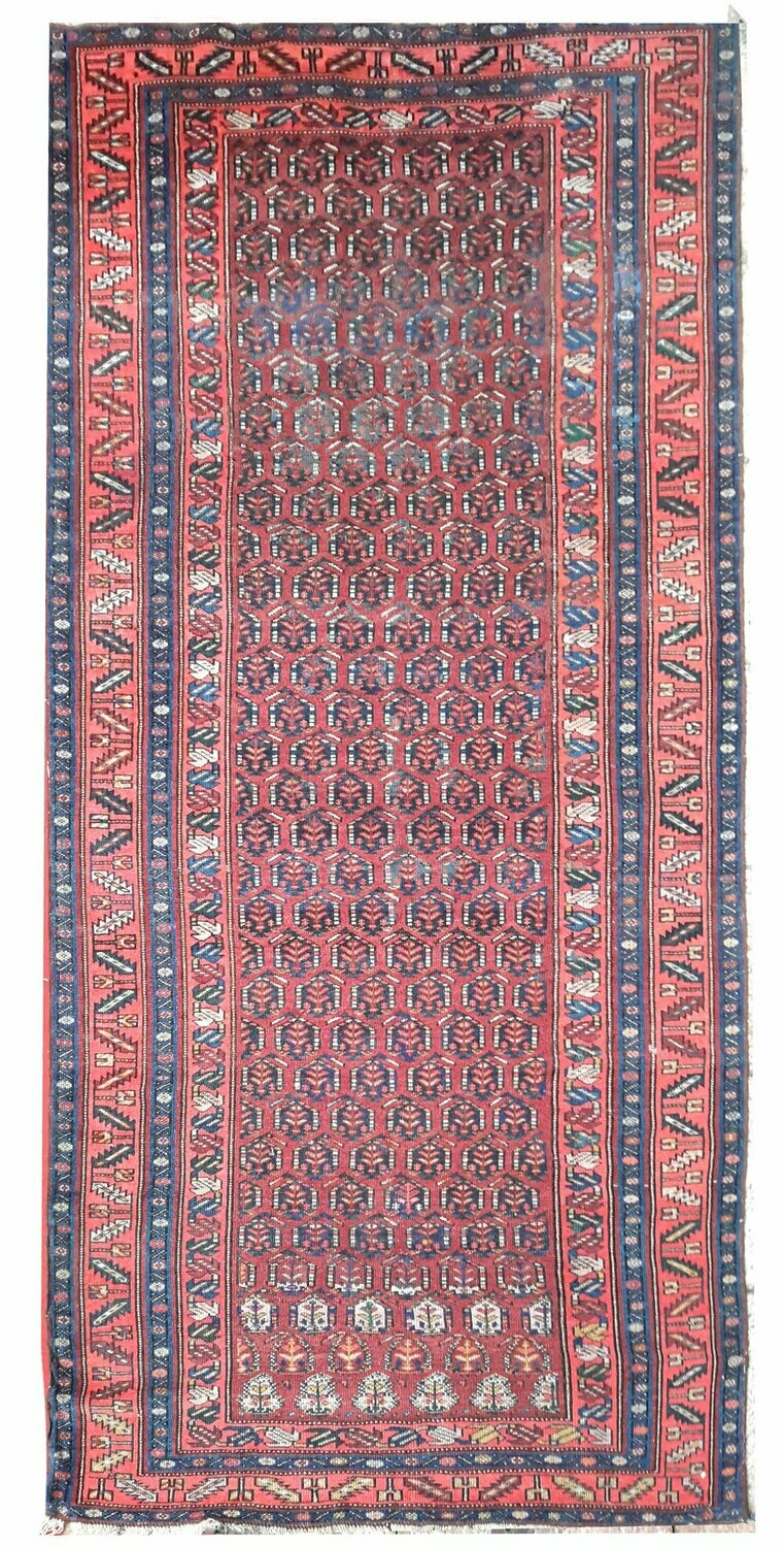 Tapis de Perse-Shahsavan