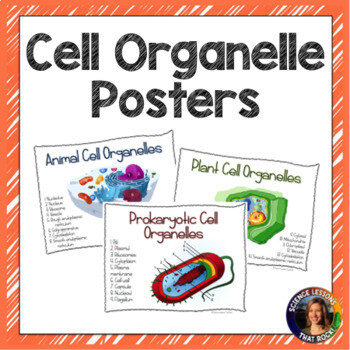 Cell Organelle Posters - Store - Science Lessons That Rock