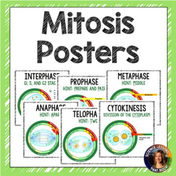 Mitosis Posters - Store - Science Lessons That Rock