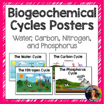 Biogeochemical Cycles Posters - Store - Science Lessons That Rock