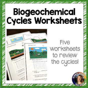 Biogeochemical Cycles Worksheets - Store - Science Lessons That Rock