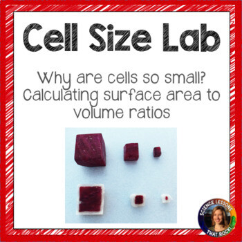 Cell Size Lab: Surface Area to Volume lab - Store - Science Lessons ...