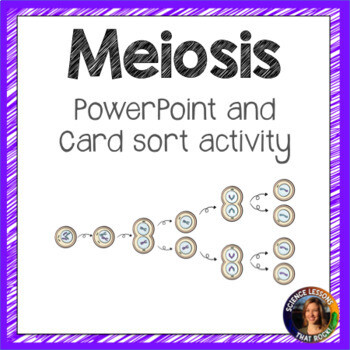 Meiosis powerpoint and card sort - Store - Science Lessons That Rock