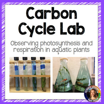 Carbon Cycle Lab- Photosynthesis and Respiration - Store - Science ...