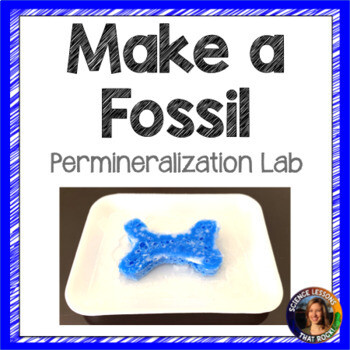 Permineralization Fossil Lab - Store - Science Lessons That Rock