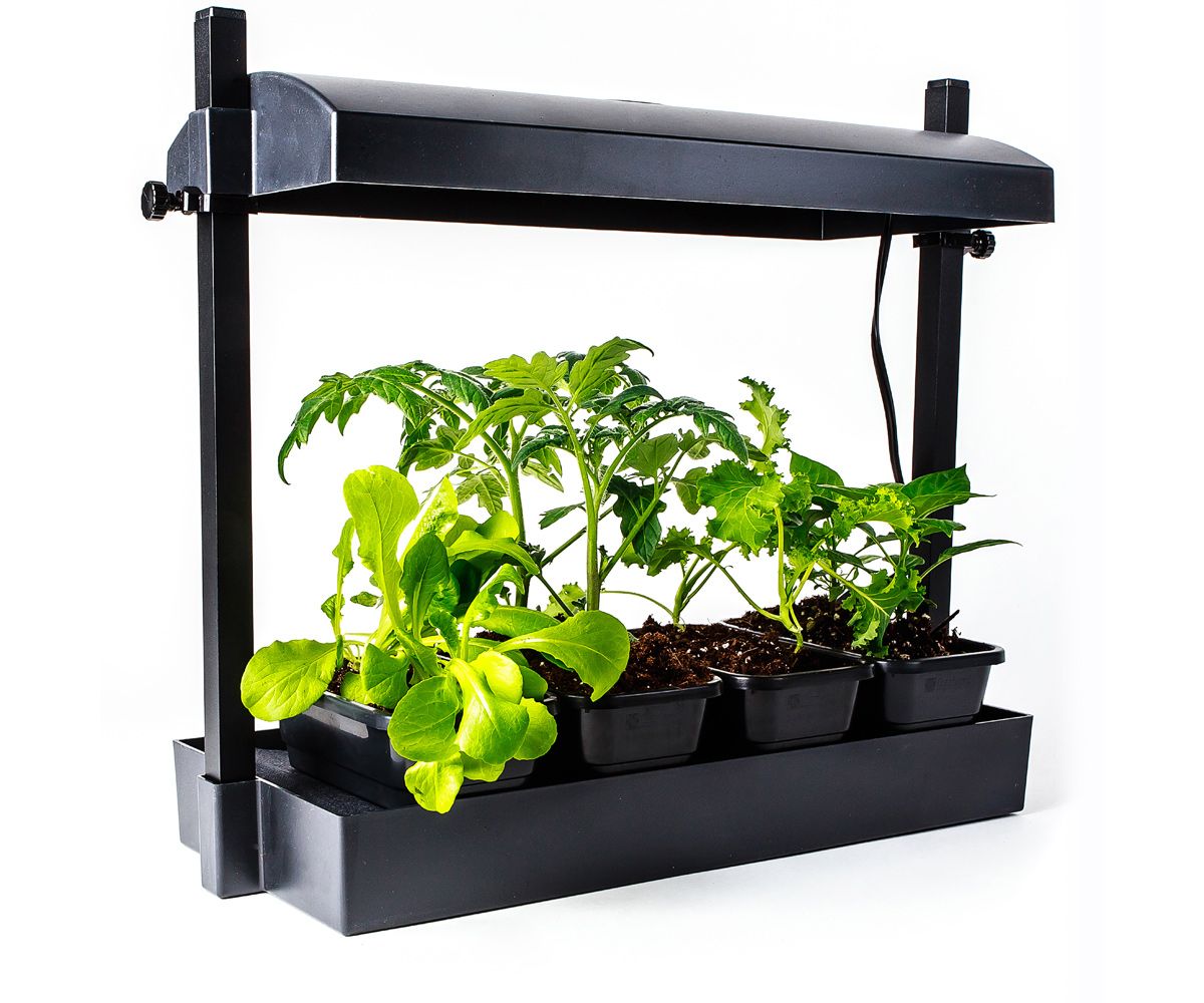SunBlaster LED Grow Light Garden