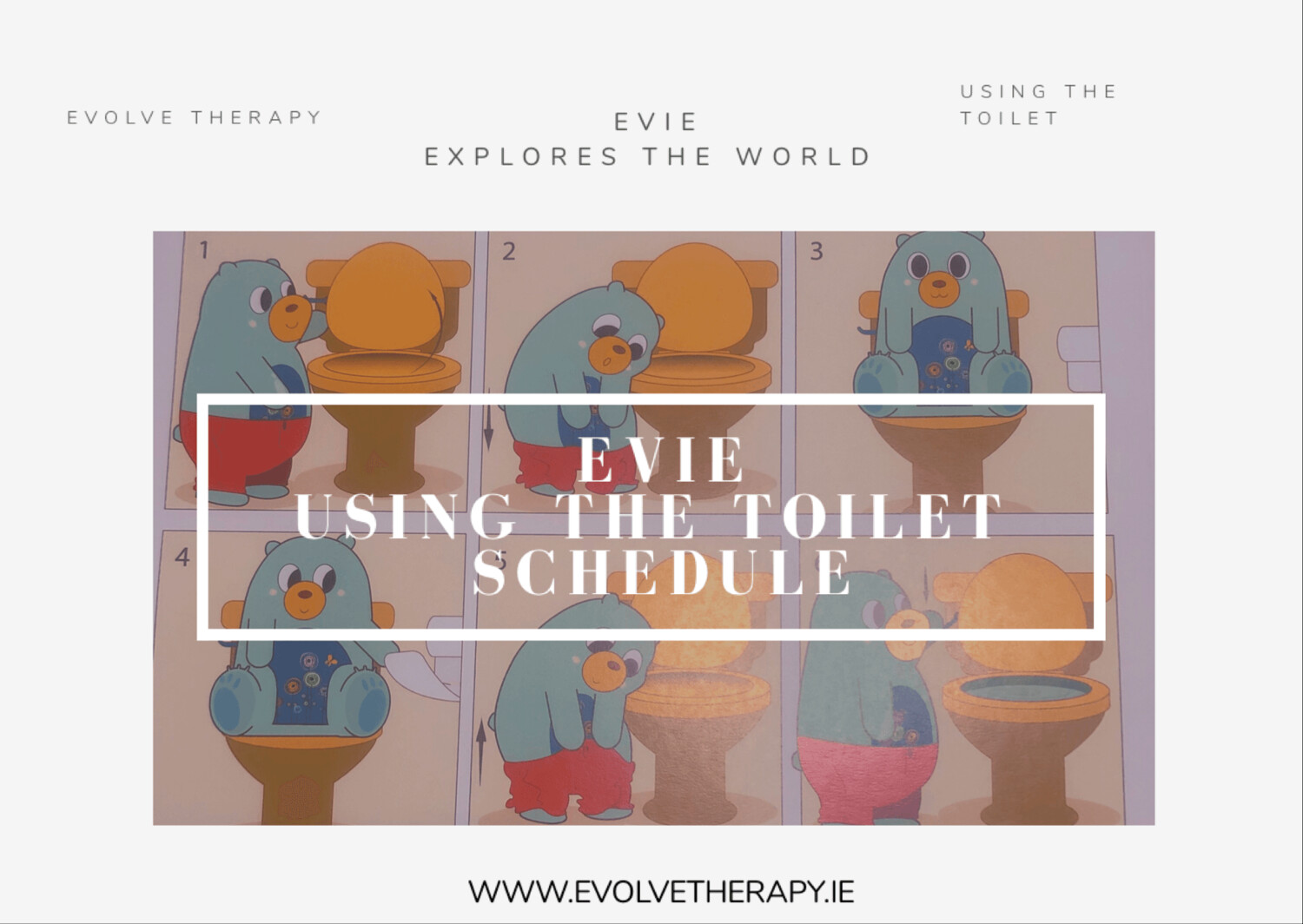 Going To The Toilet Visual Schedule