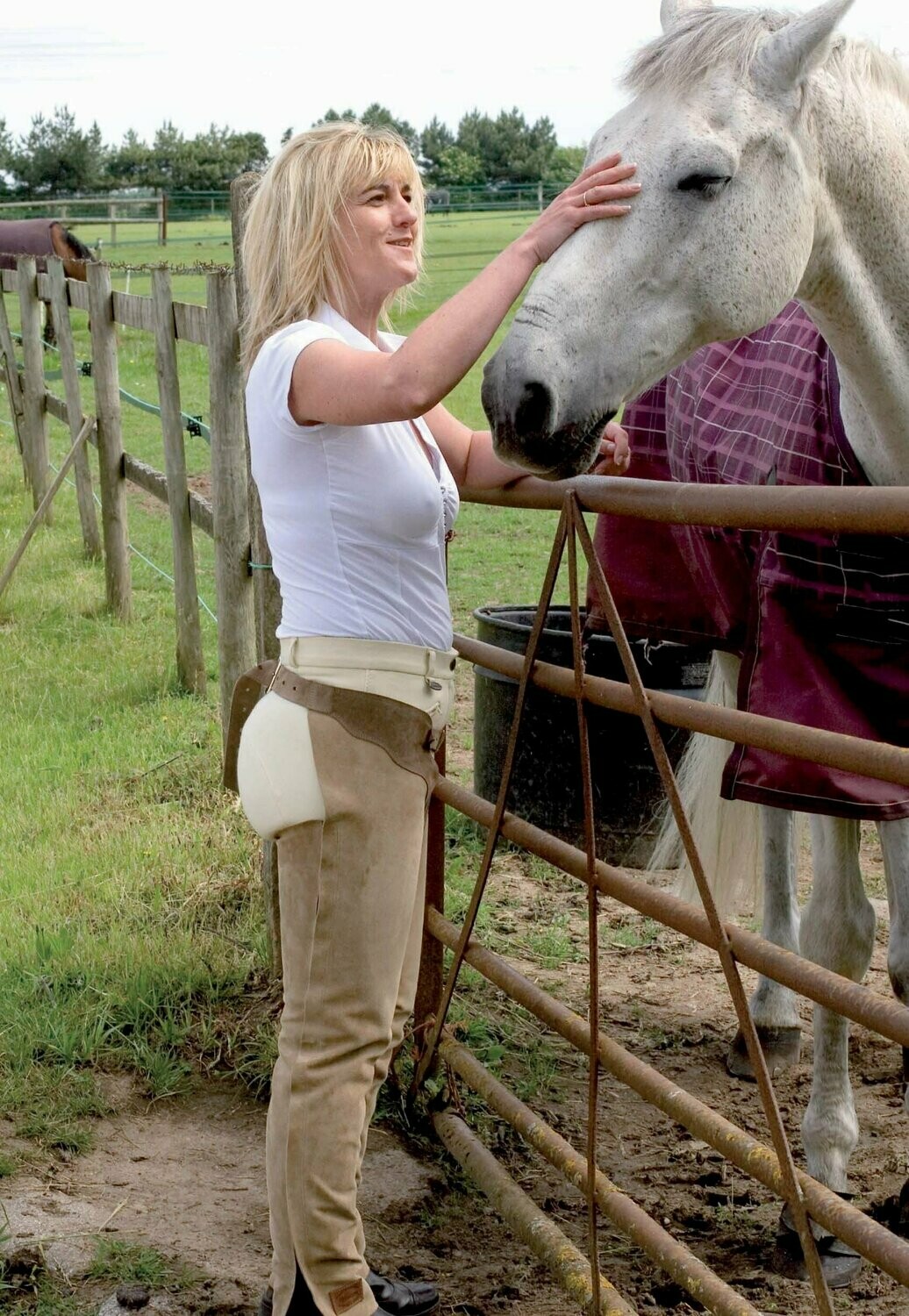 Riding Chaps - Regular or Hipster fit