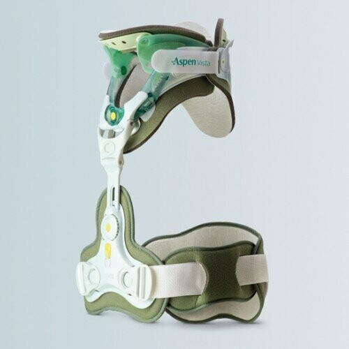 Aspen Vista CTO 2 POST MINERVA