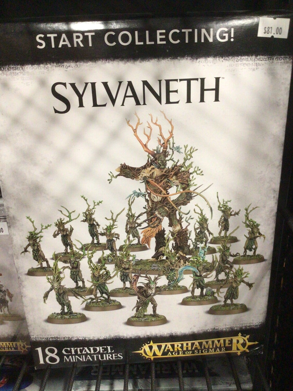 Start Collecting Sylvaneth