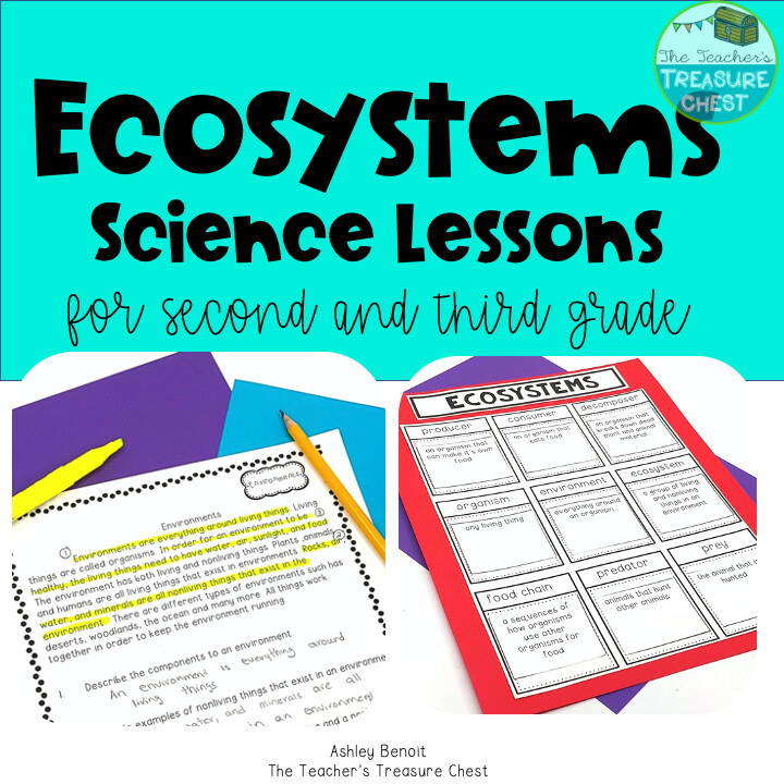 Ecosystems Lesson Plans and Activities - Store - The Teacher's Treasure ...