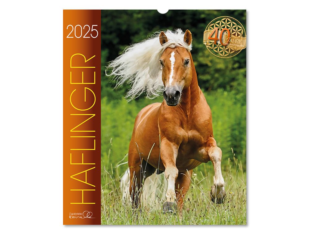 Kalender Haflinger 2025