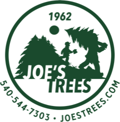 Joe's Trees