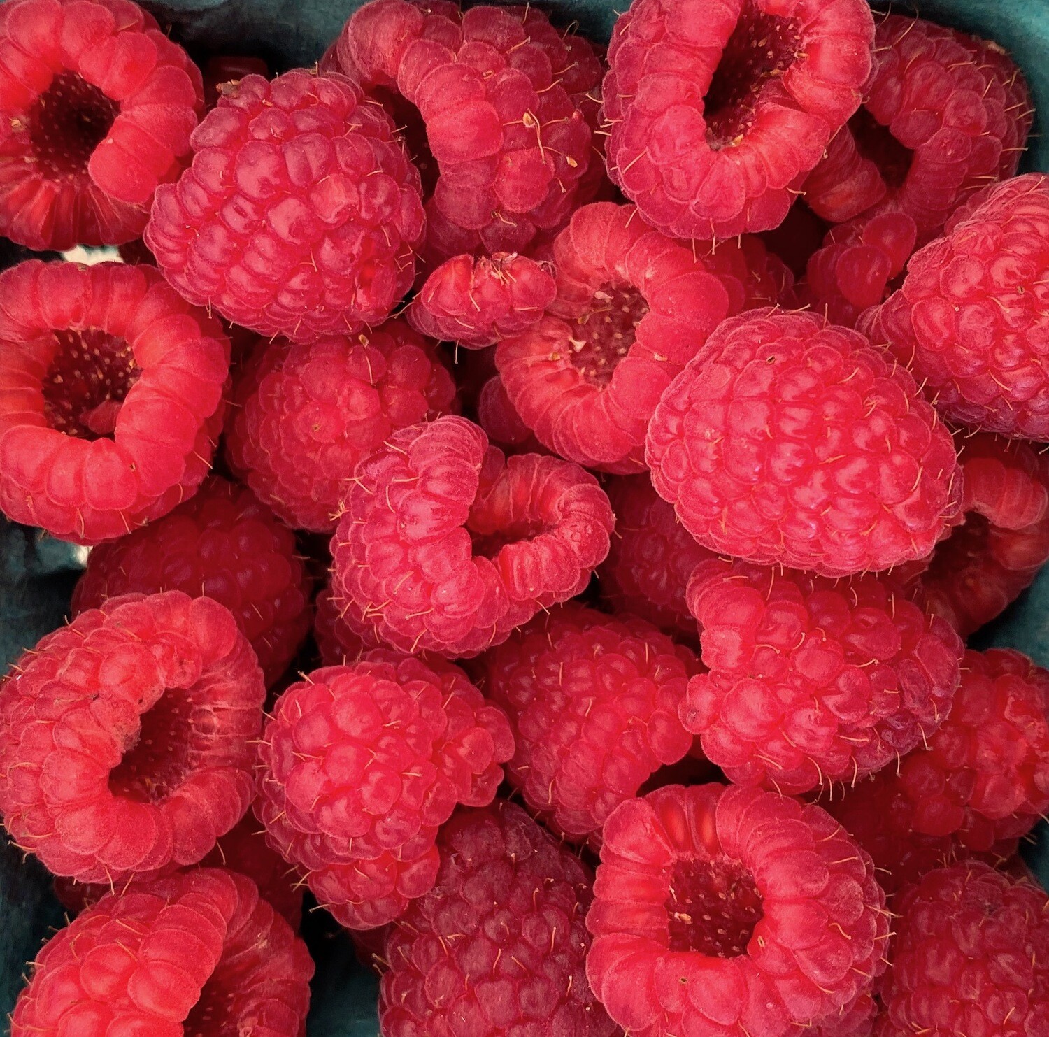 Raspberries HALF PINT
