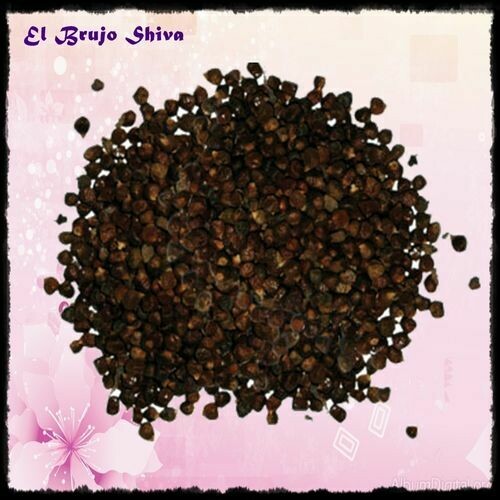 Pimienta Guinea