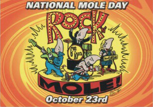 2003 Rock and Mole Postcard