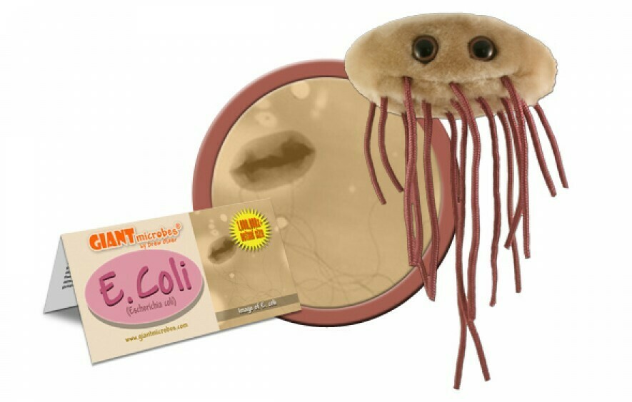E. Coli (Escherichia Coli), Original 5-7'' Plush