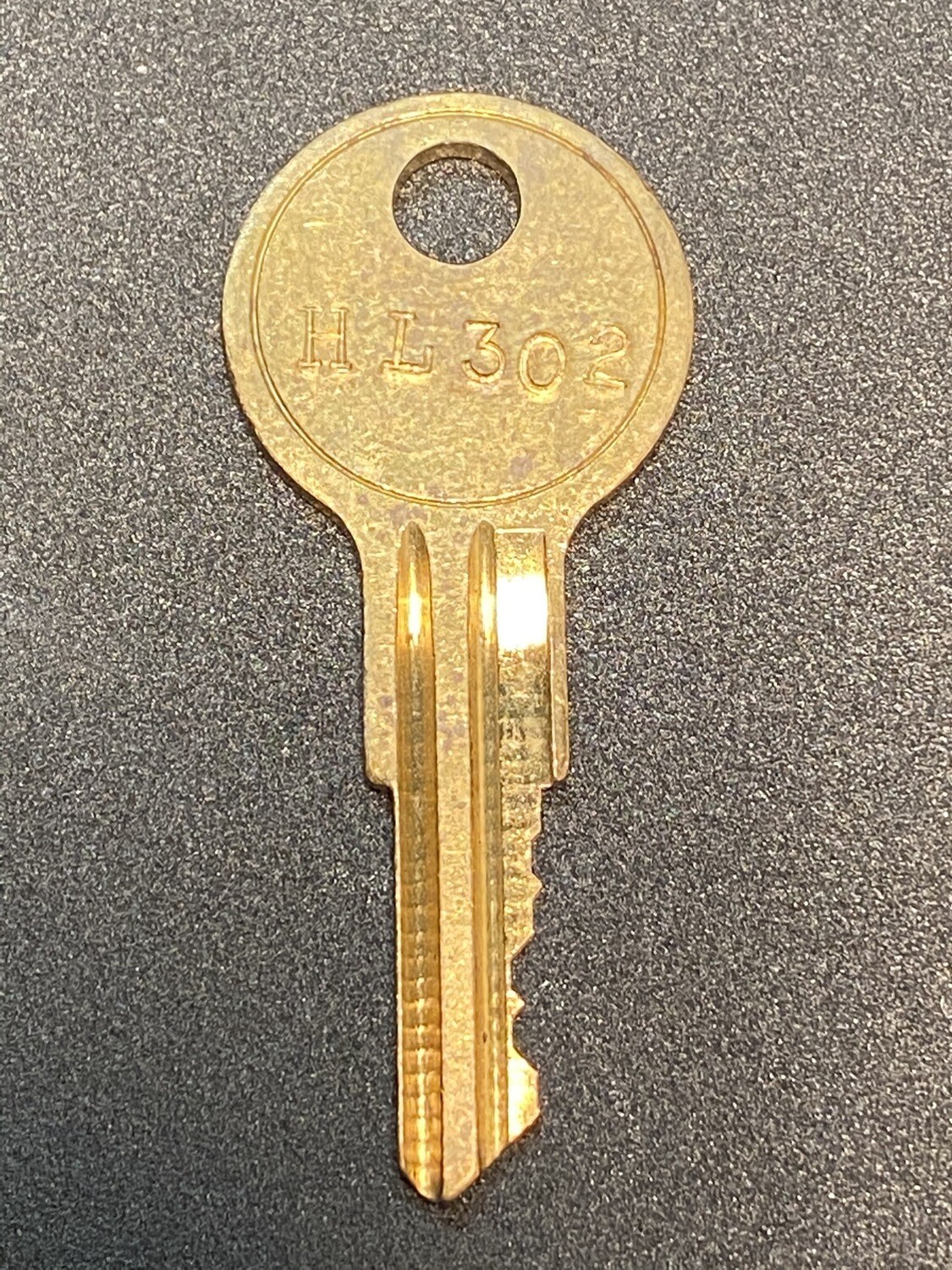 (Old) DoorKing HL302