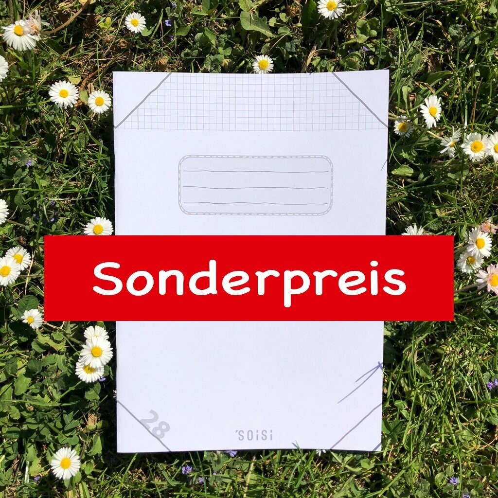 Lineatur 28 (kariert mit Doppelrand)