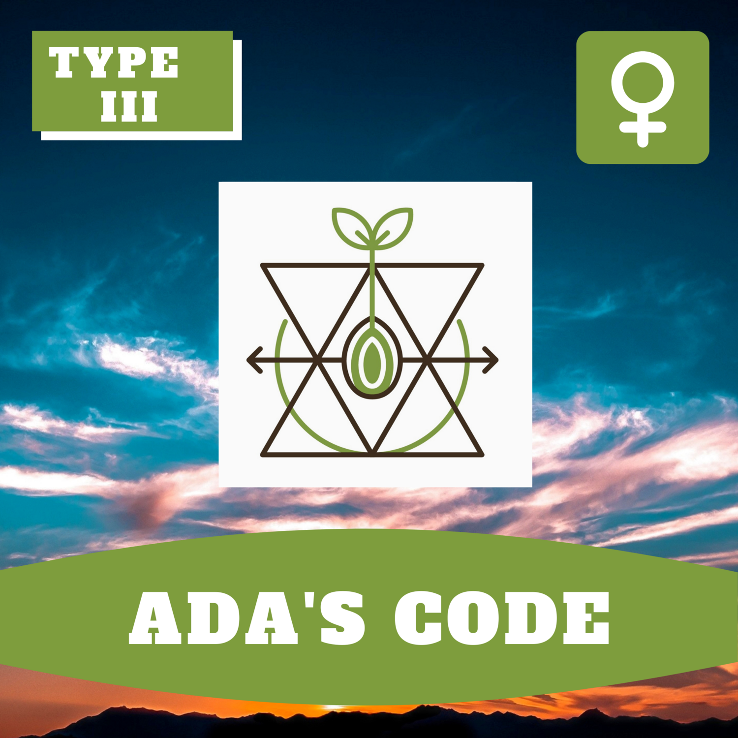 Ada's Code (F)