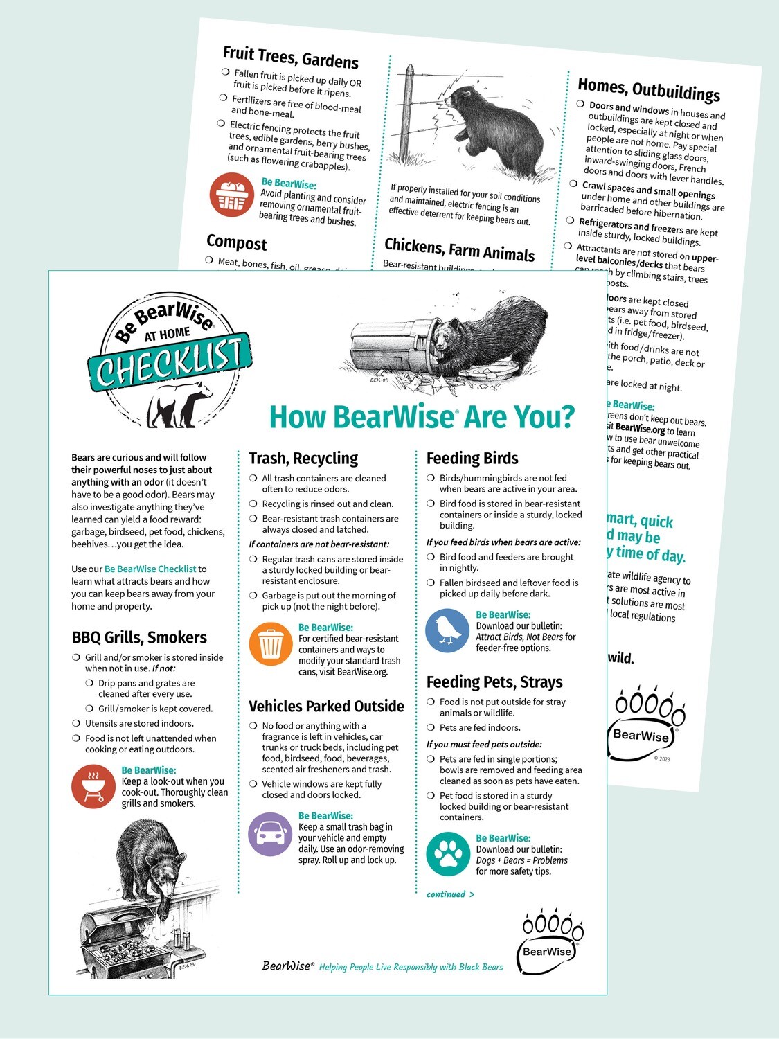 Six At-Home BearWise Basics - BearWise Educational Materials: Tools ...