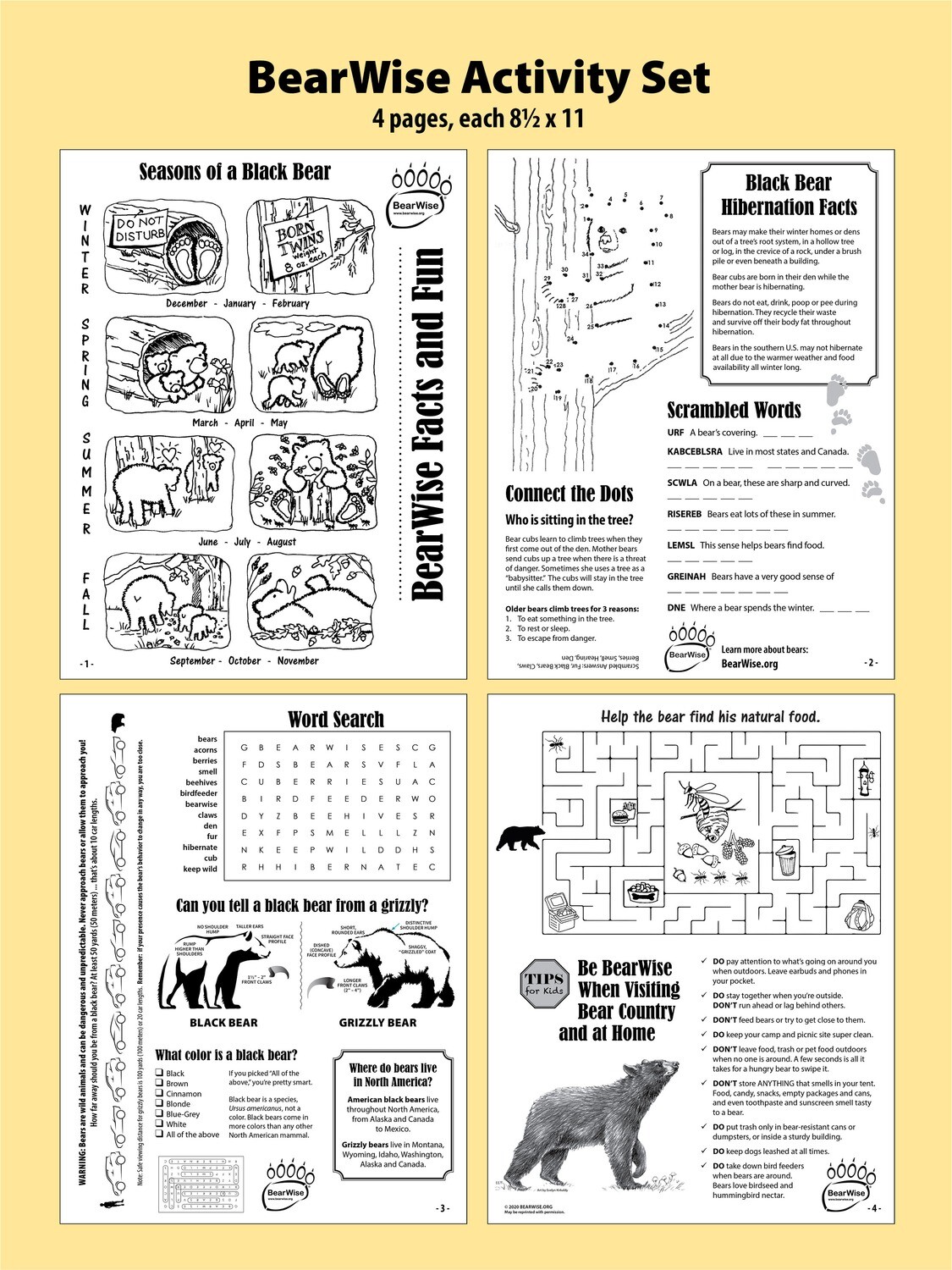 BearWise Facts & Fun 4-page Activity Set - BearWise Store - BearWise