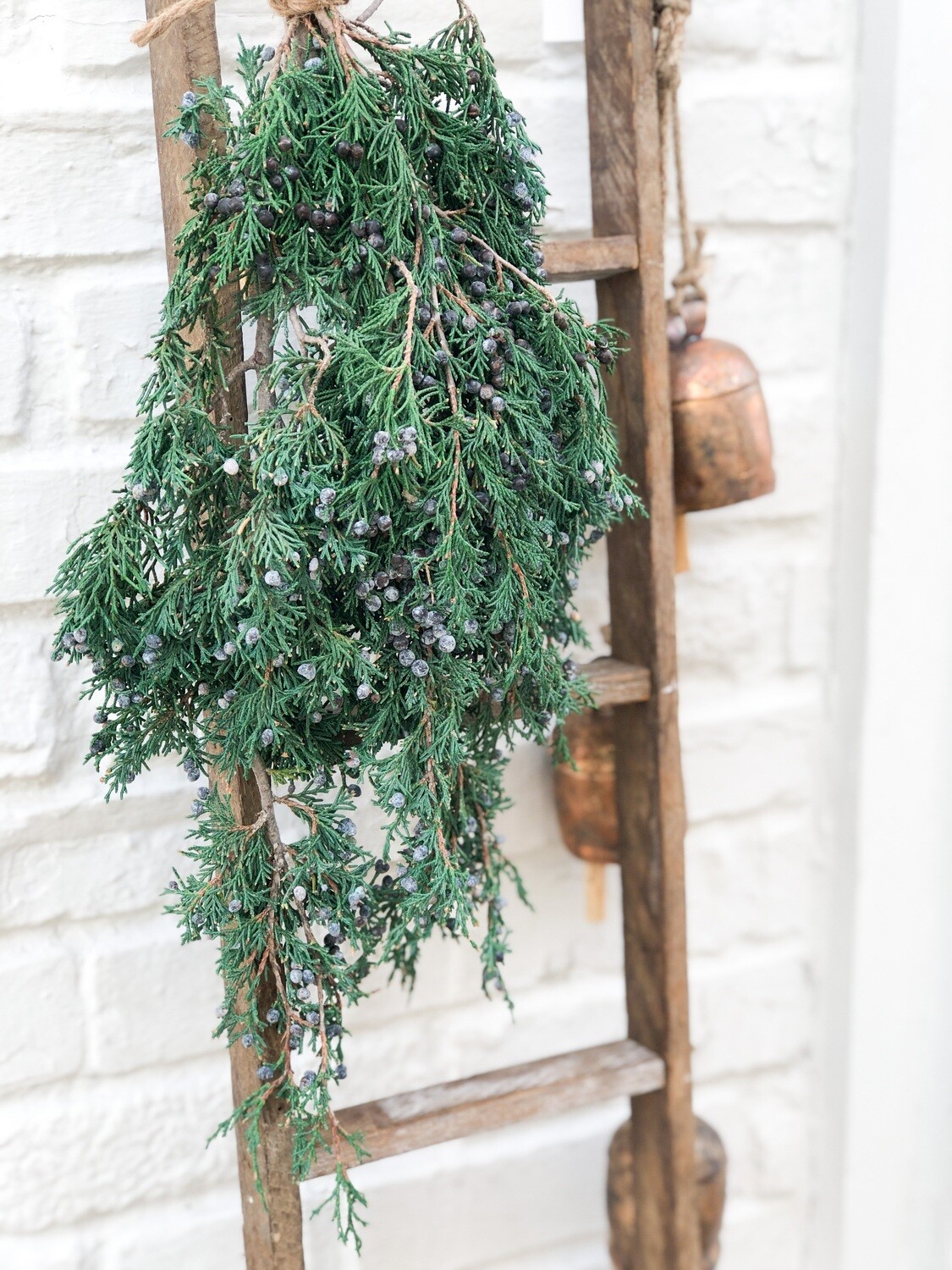 Preserved Juniper Bunch no.180